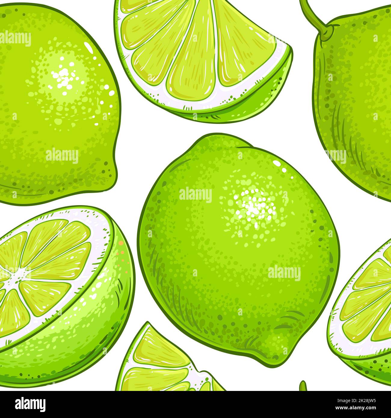 lime fruits vector pattern on white background Stock Photo - Alamy