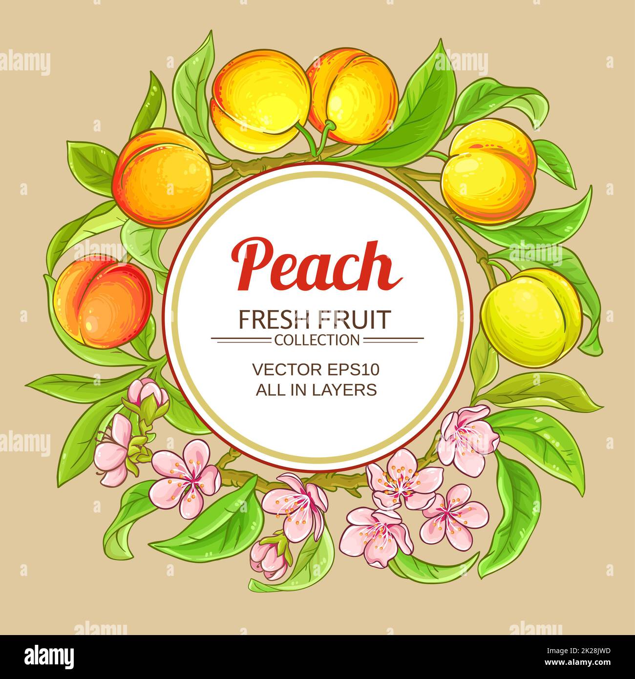 peach branches vector frame on color background Stock Photo - Alamy