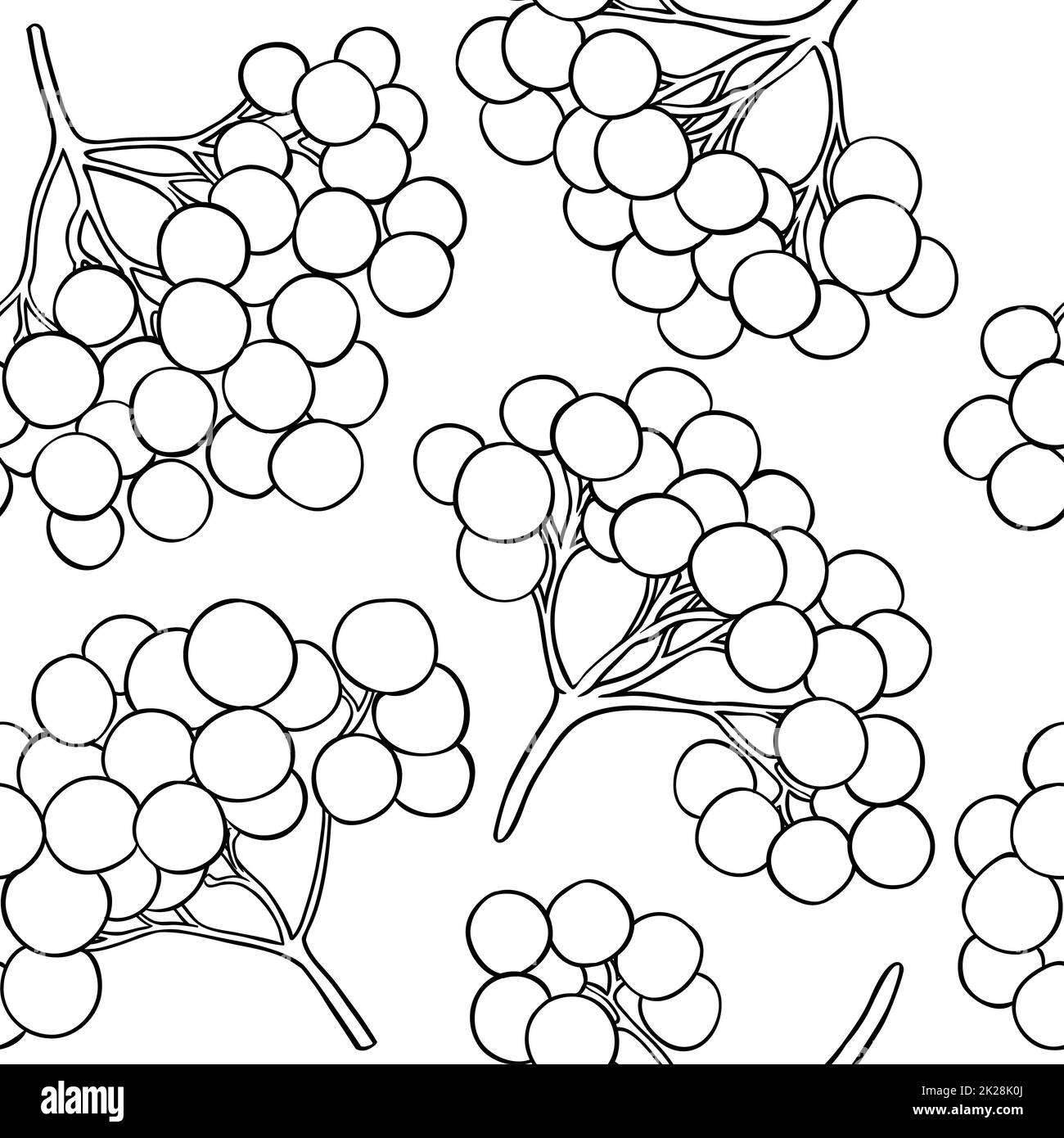 Guelder Rose Drawing