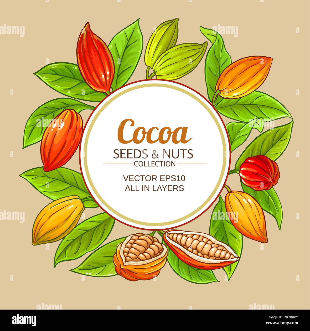 cocoa branches vector frame on color background Stock Photo - Alamy