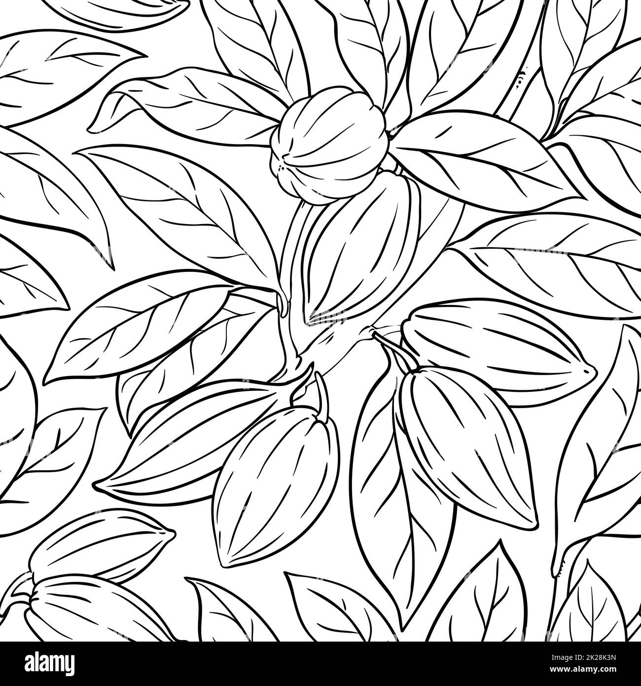 cocoa branches vector pattern on white background Stock Photo - Alamy