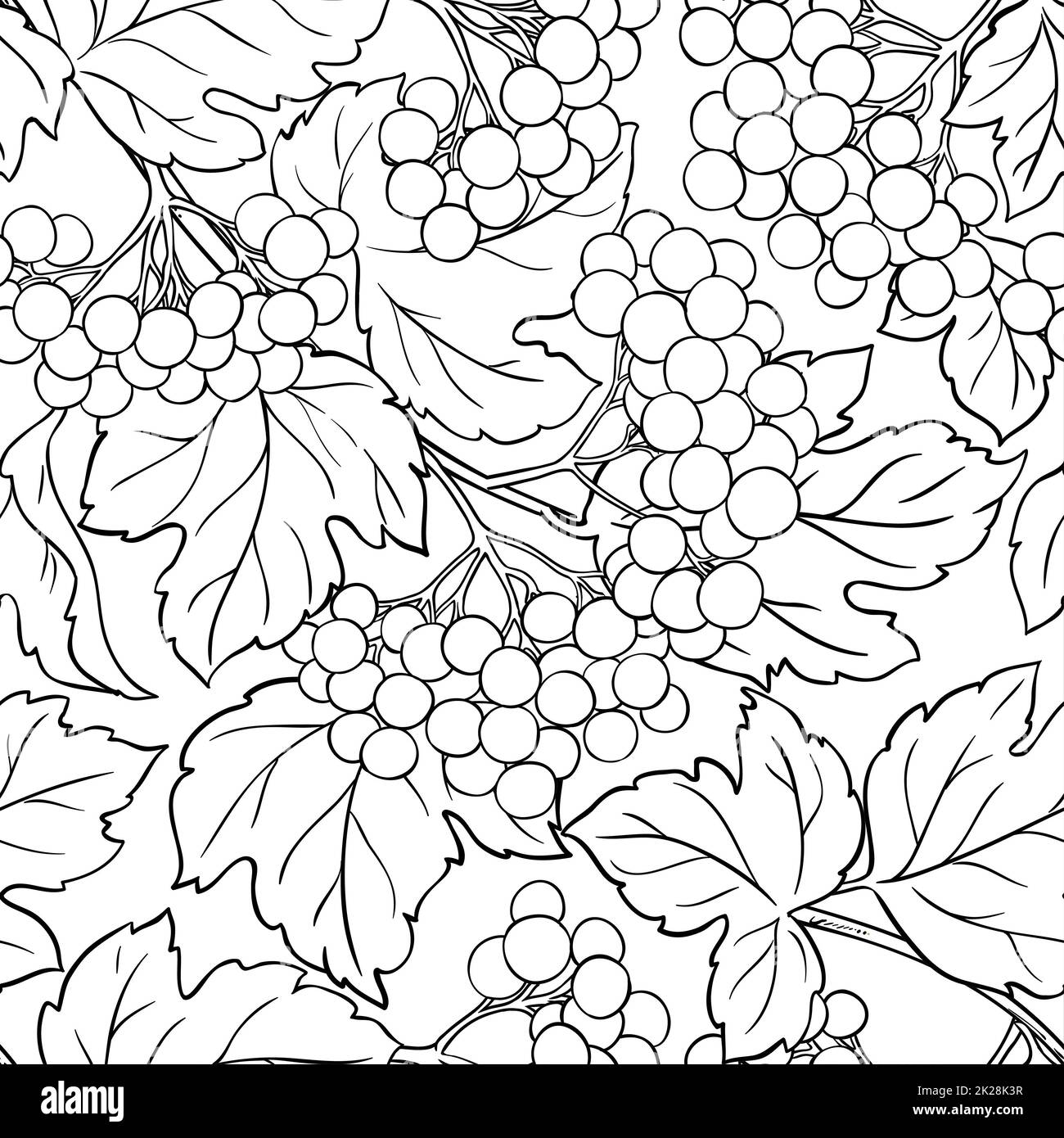 Guelder rose bush drawing hi-res stock photography and images - Alamy