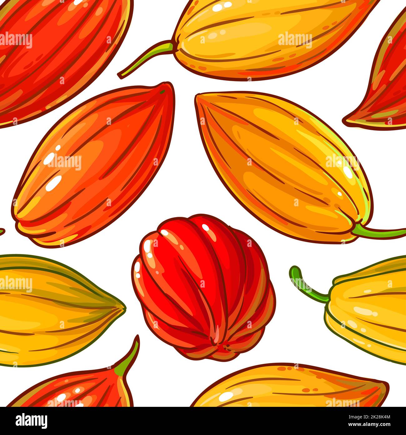 cocoa seeds vector pattern on white background Stock Photo - Alamy