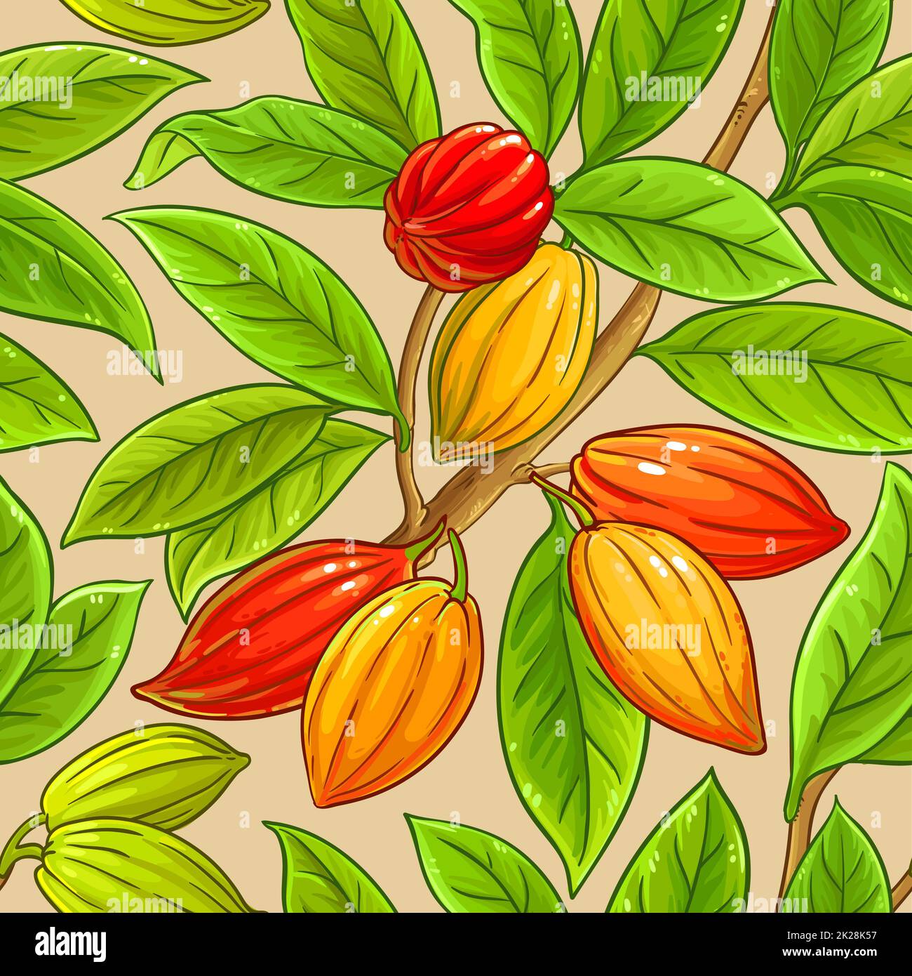 cocoa branches vector pattern on color background Stock Photo - Alamy