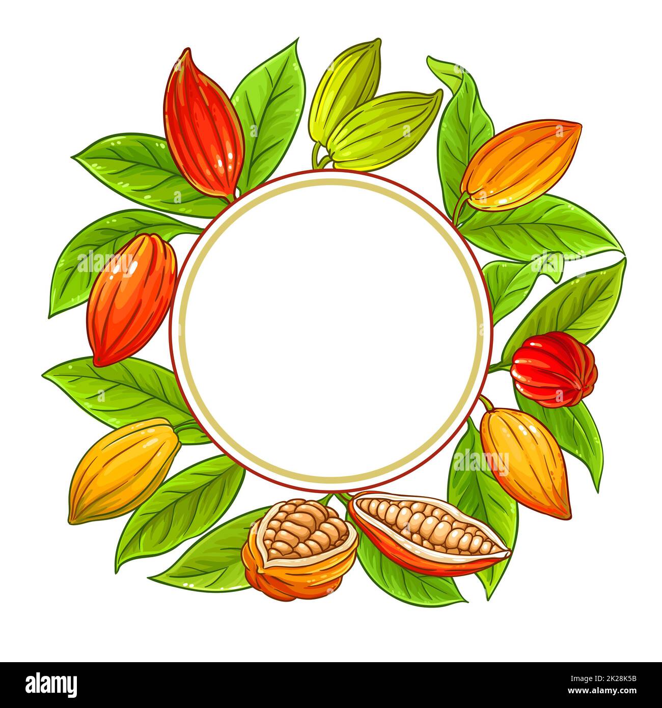 cocoa branches vector frame on white background Stock Photo - Alamy