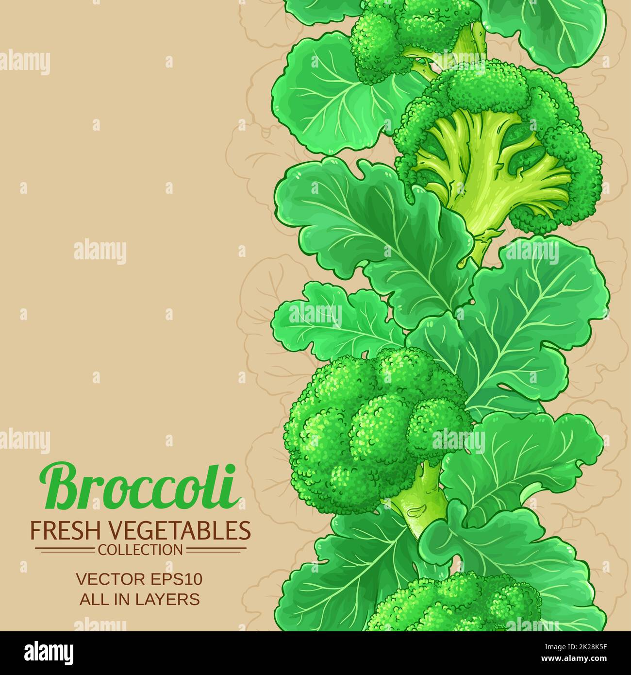 broccoli plant vector pattern on color background Stock Photo - Alamy