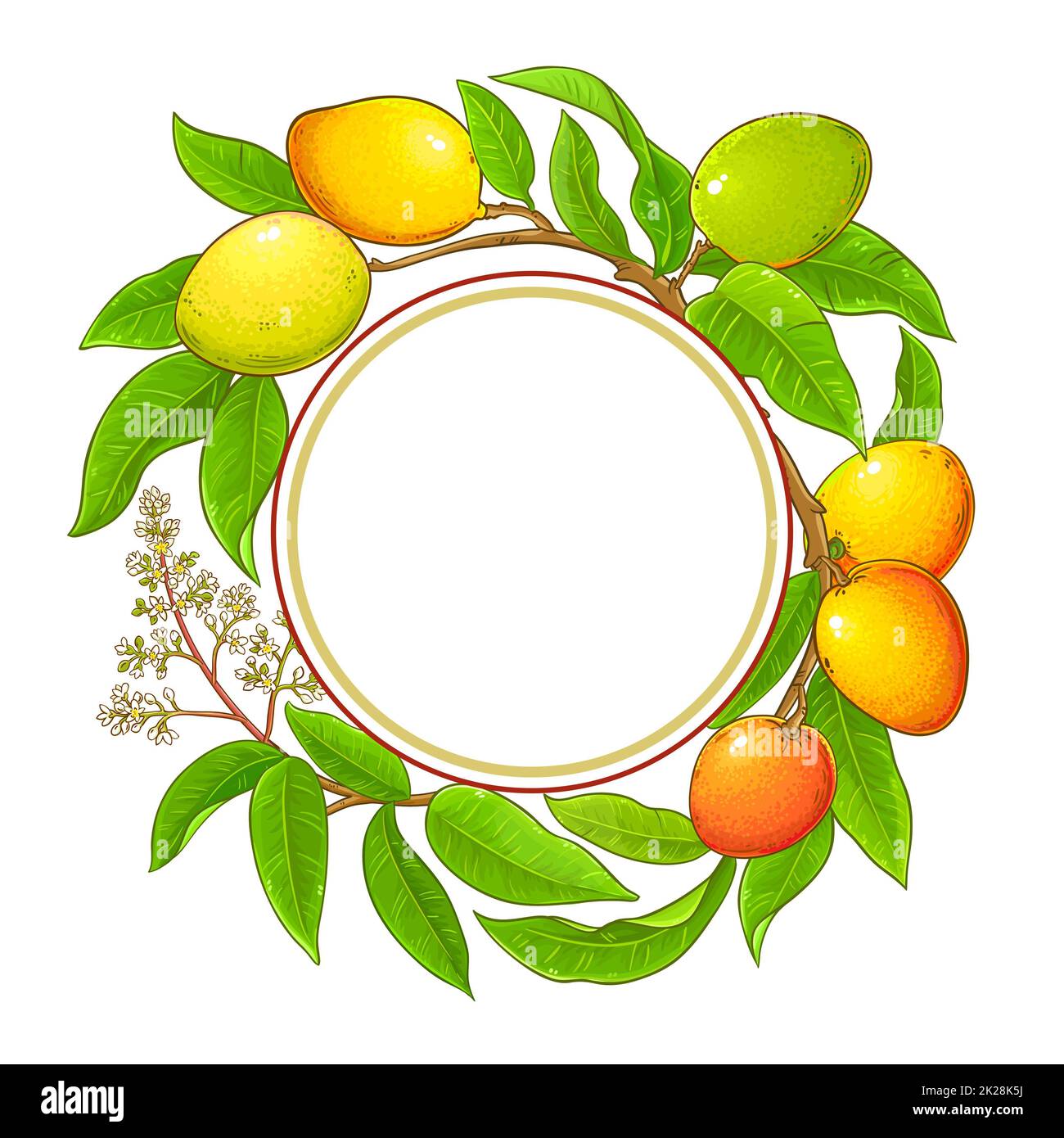 mango branches vector frame on white background Stock Photo - Alamy