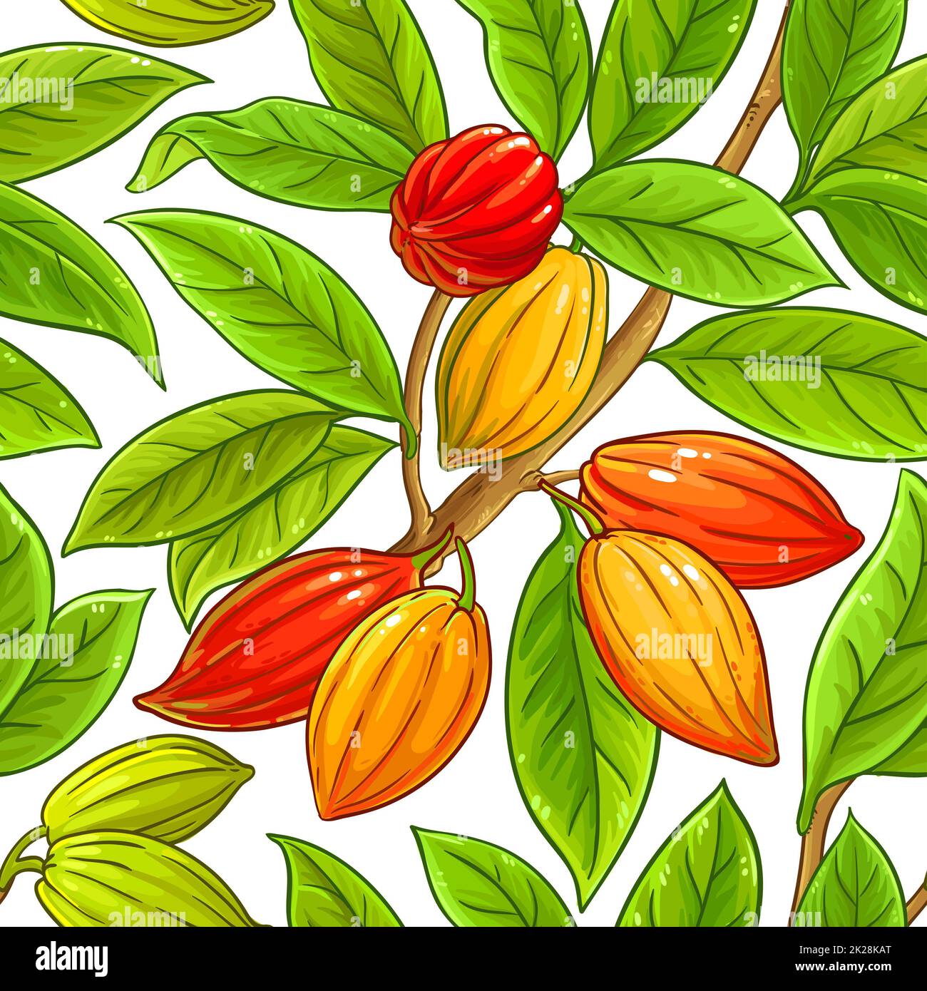 cocoa branches vector pattern on white background Stock Photo - Alamy
