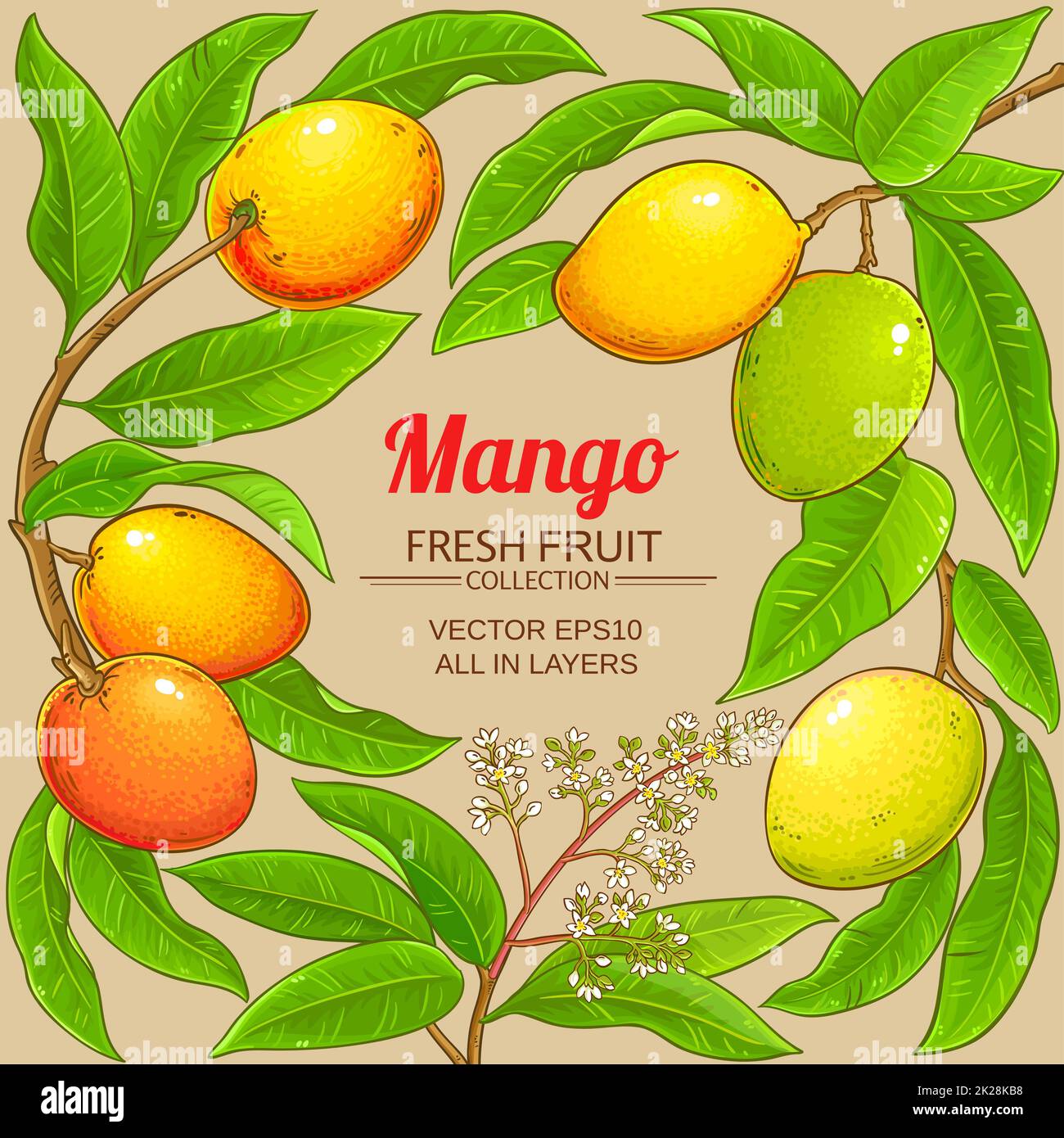 mango branches vector frame on color background Stock Photo - Alamy