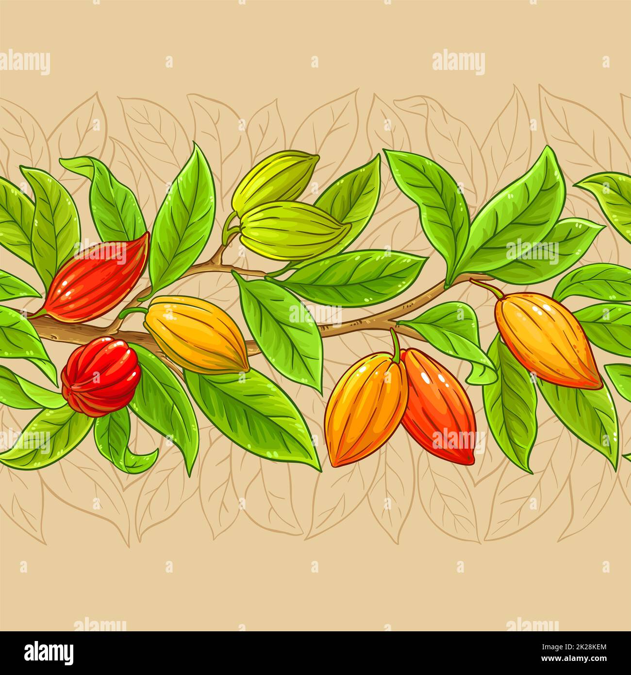 cocoa vector pattern Stock Photo - Alamy