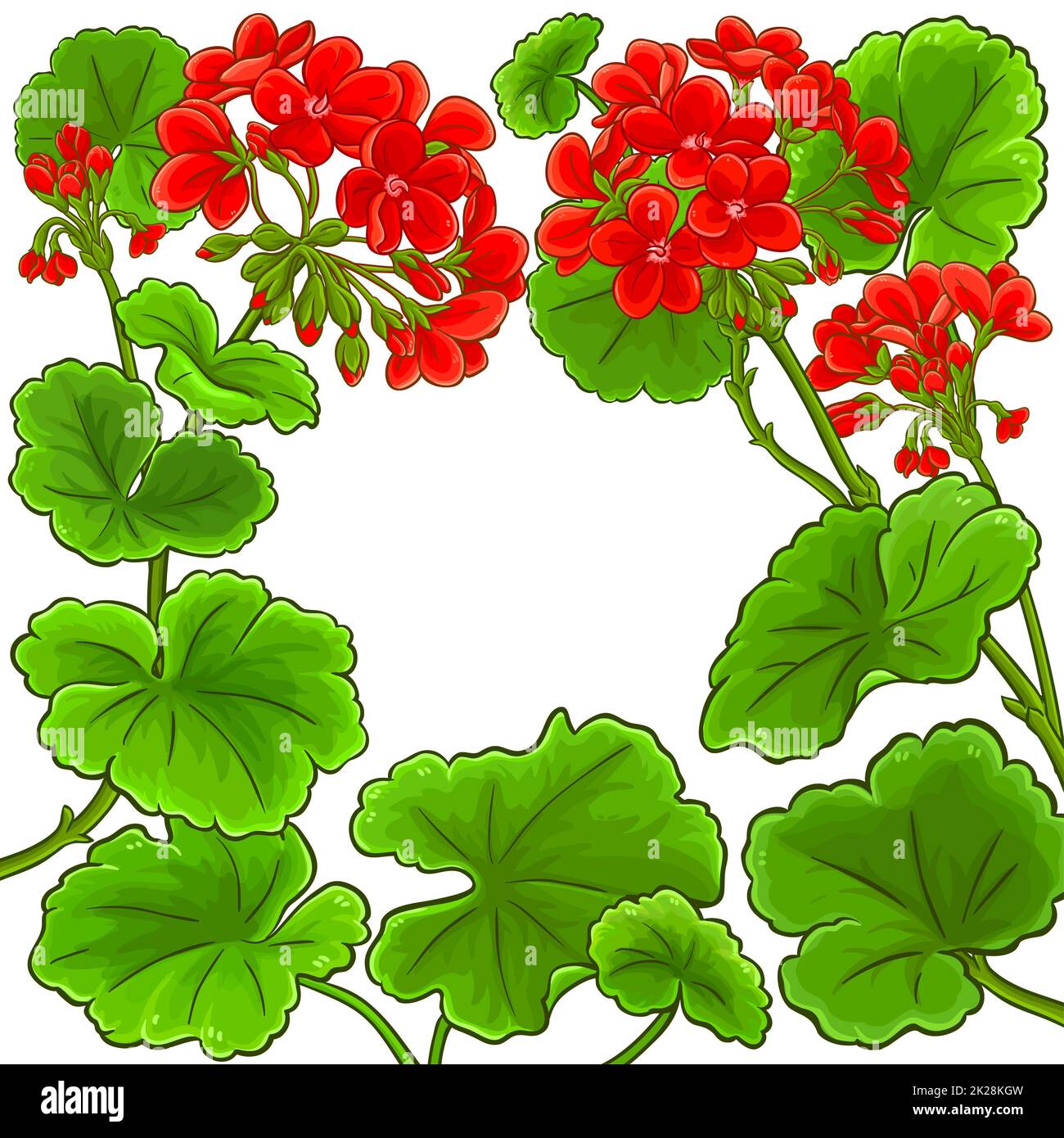 Geraniums In Basket Clipart
