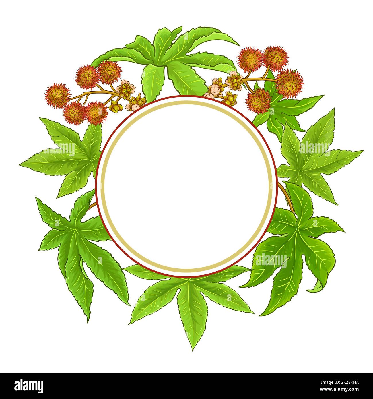 castor branches vector frame on white background Stock Photo - Alamy
