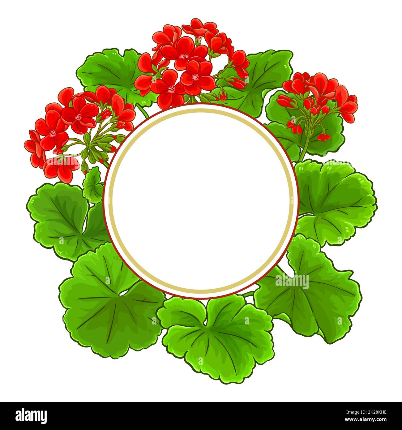 Geranium flower illustration Cut Out Stock Images & Pictures - Alamy