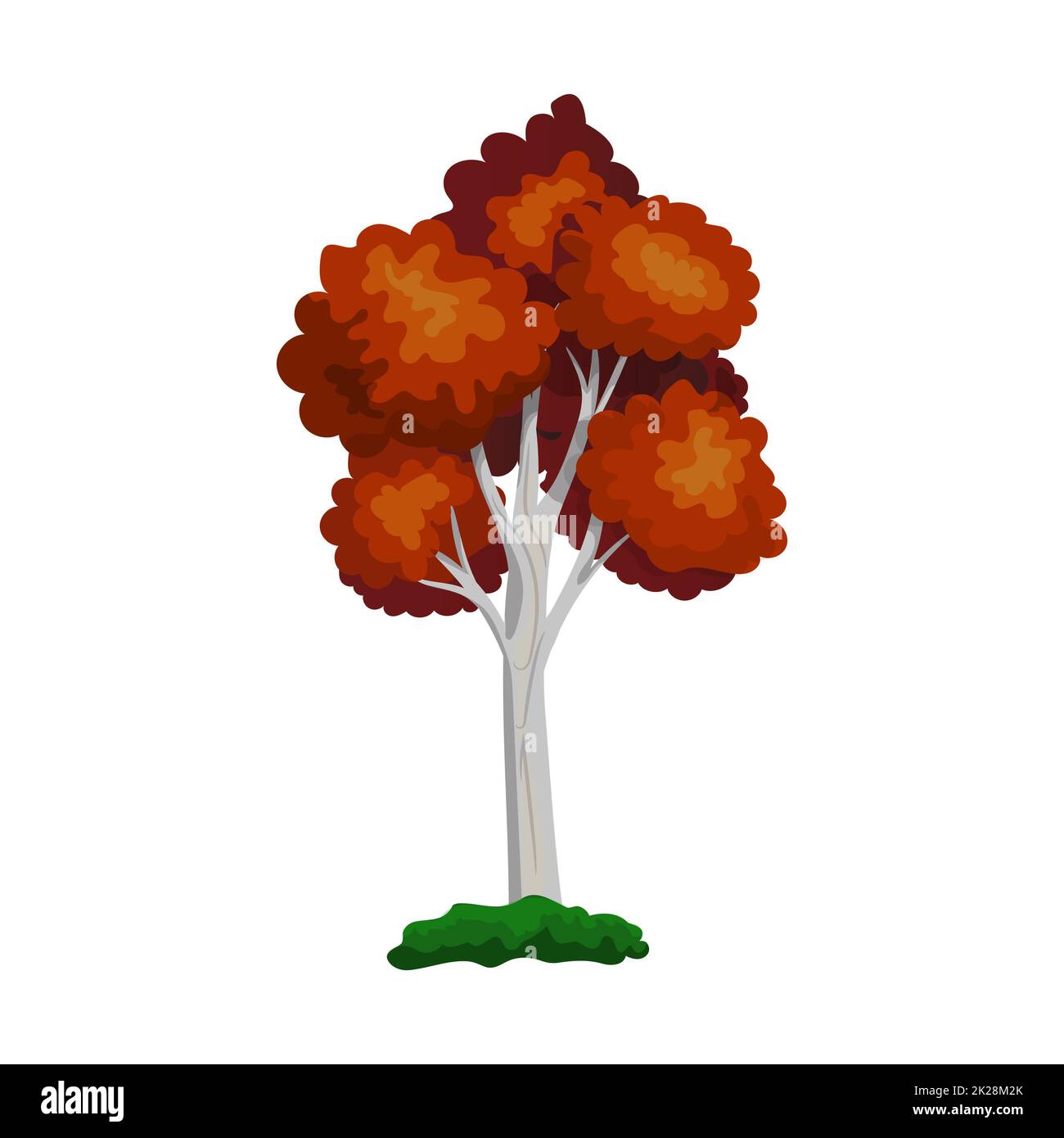 Realistic green deciduous tree isolated on white background - Vector ...