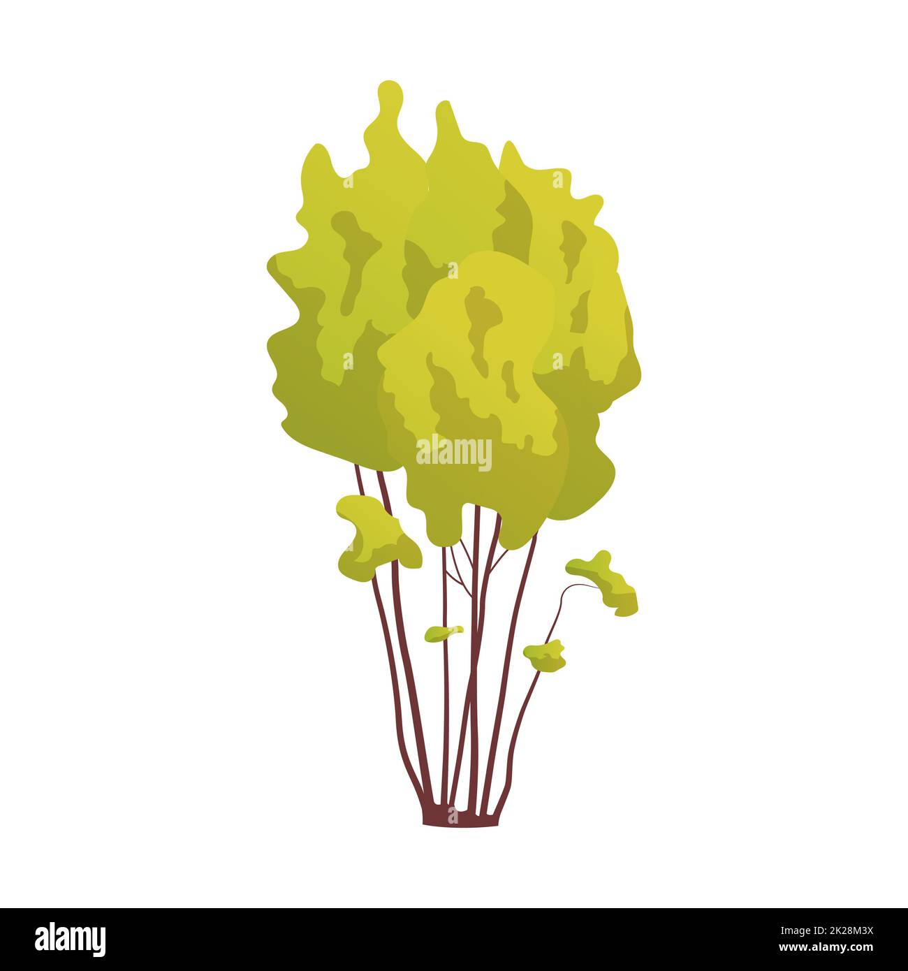 Realistic green leafy bush isolated on white background - Vector Stock ...