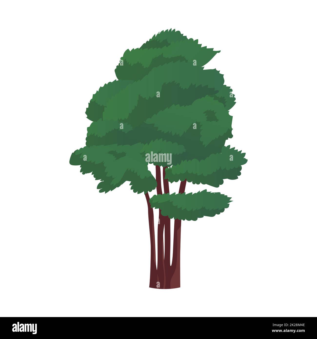 Realistic green leafy bush isolated on white background - Vector Stock ...