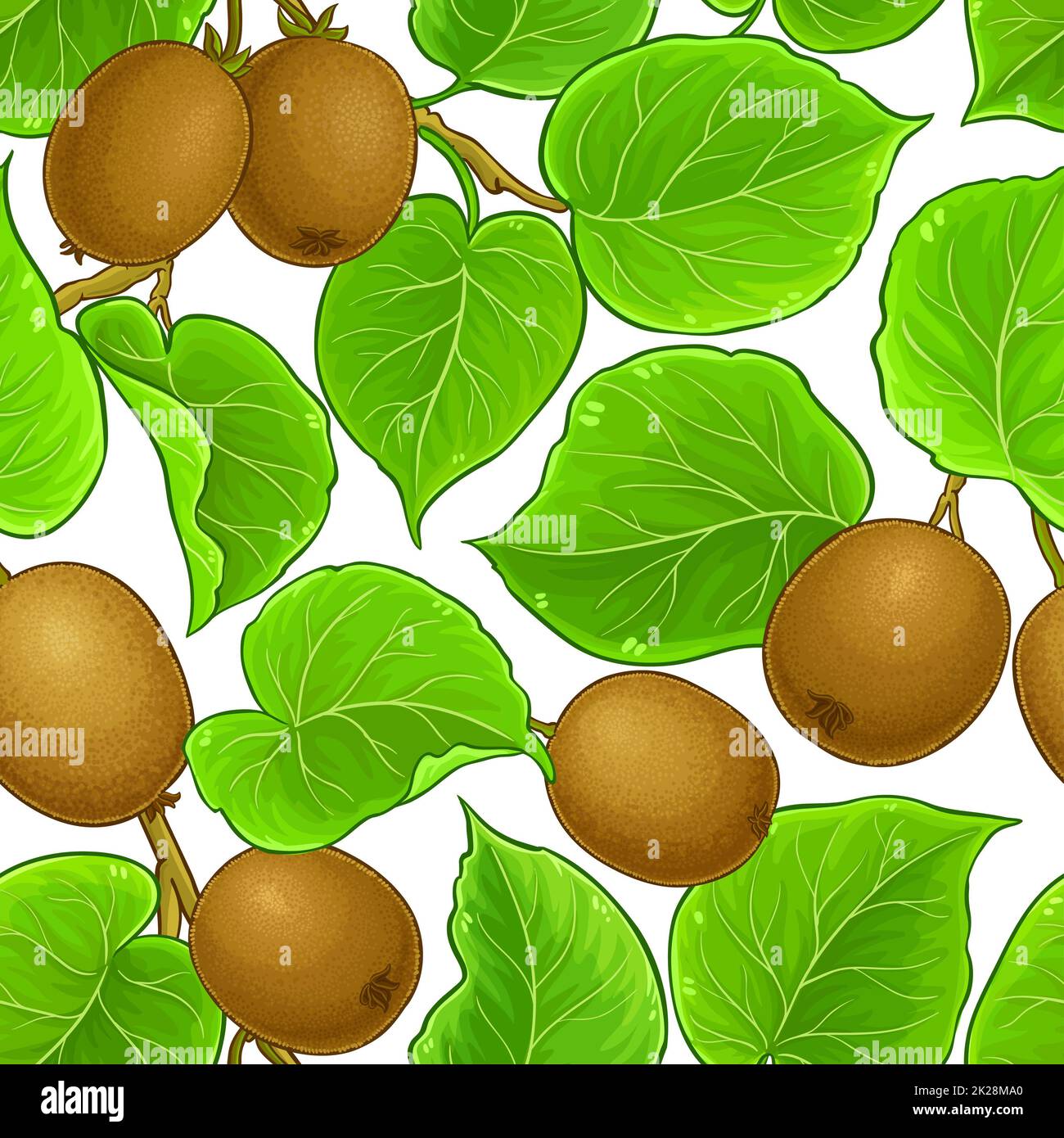 kiwi branches vector pattern on white background Stock Photo - Alamy