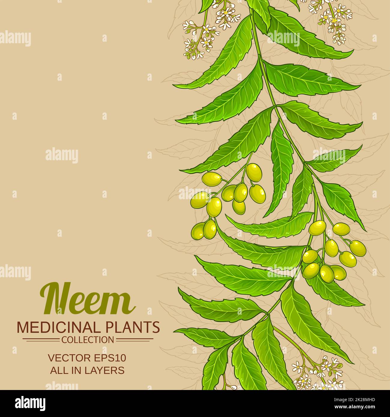 neem vector background Stock Photo - Alamy
