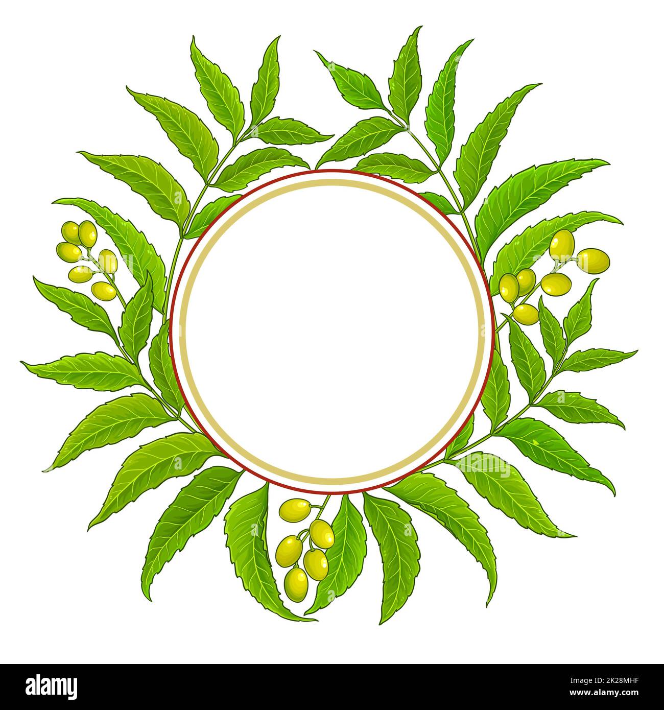 Neem Leaf Vector