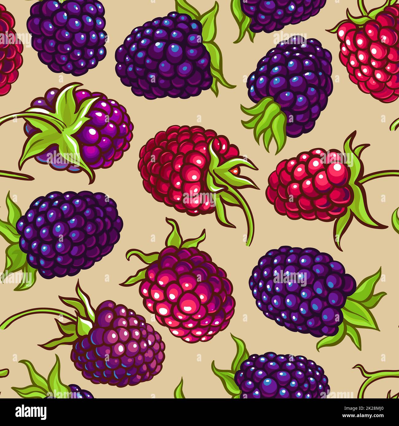 boysenberry berries vector pattern Stock Photo - Alamy