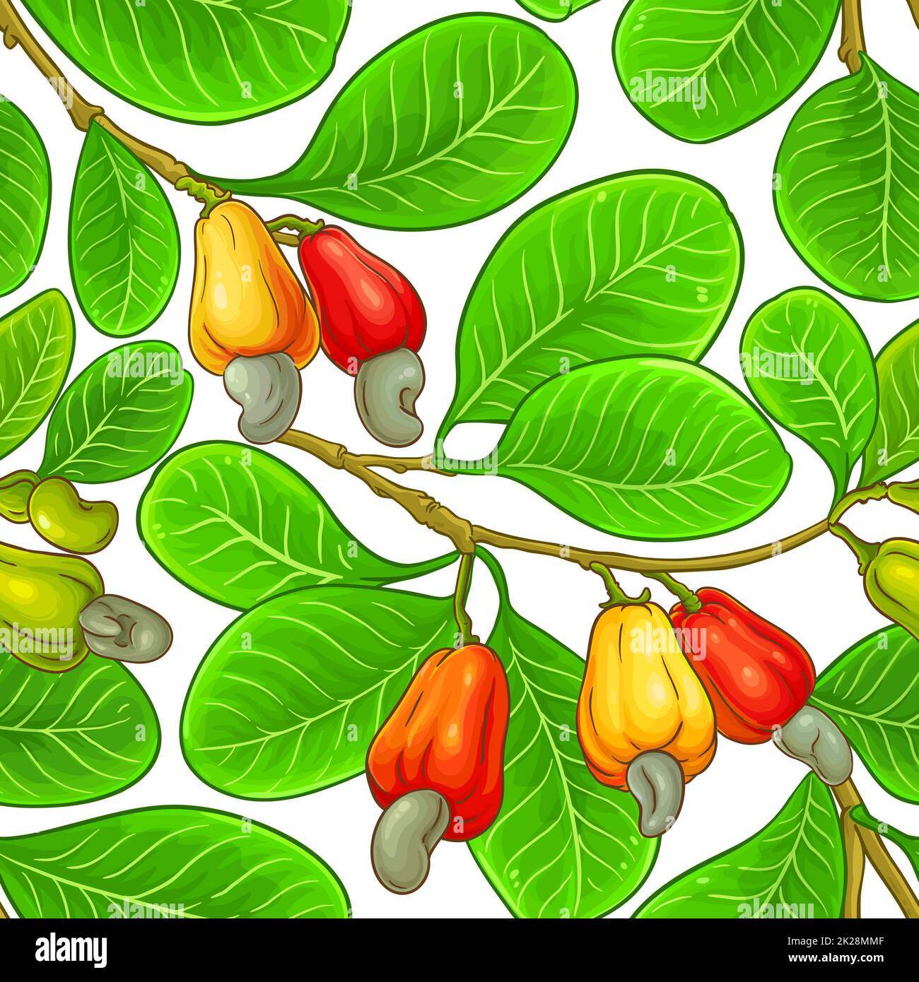 cashew vector pattern Stock Photo - Alamy