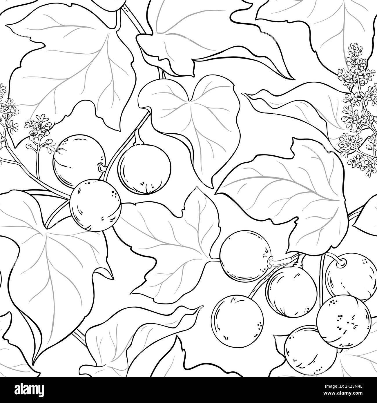 Closeup tree branches Black and White Stock Photos & Images - Alamy
