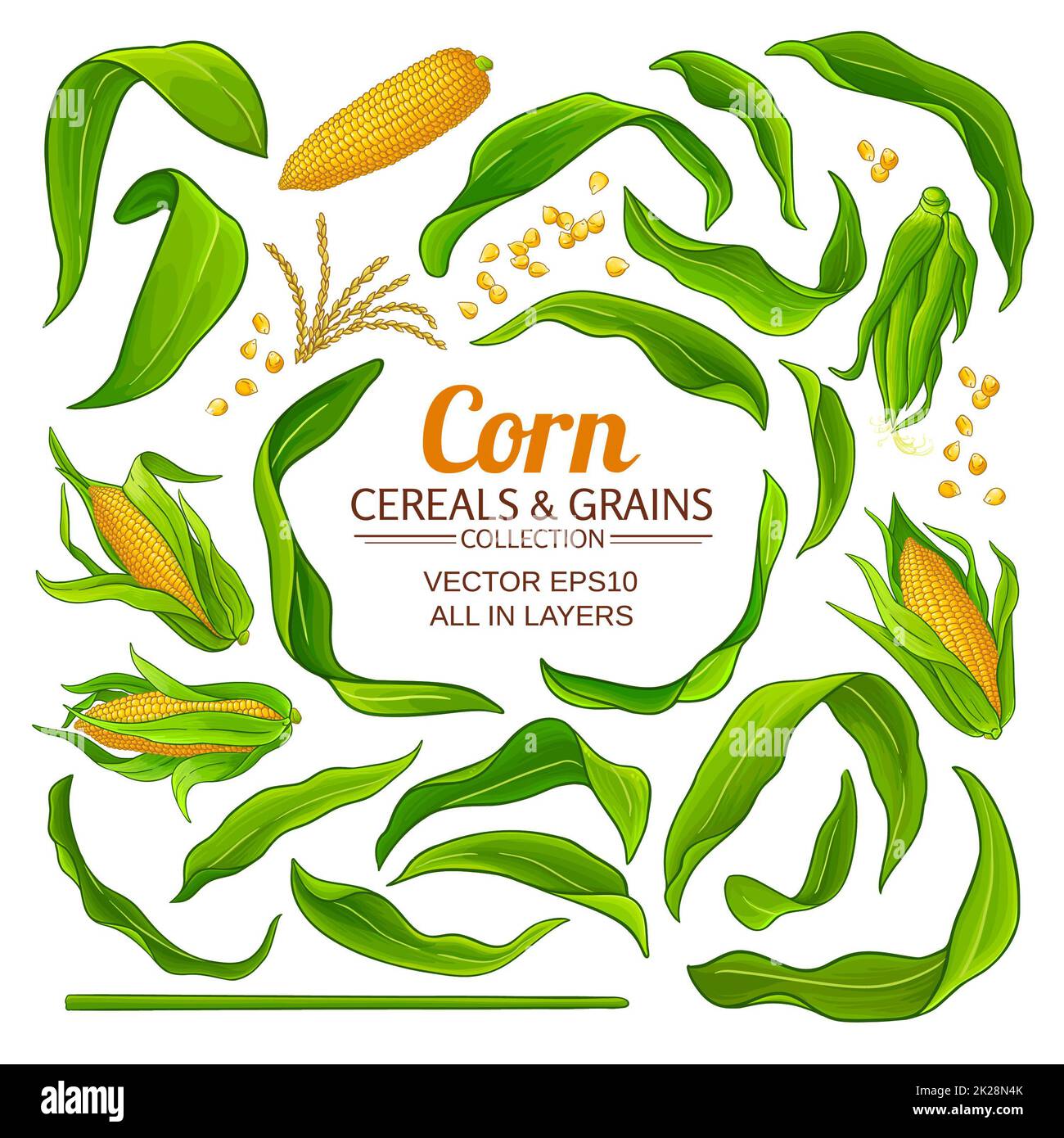 corn elements set Stock Photo - Alamy