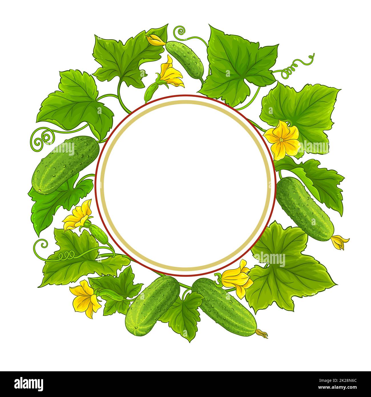 cucumber plant vector frame on white background Stock Photo - Alamy