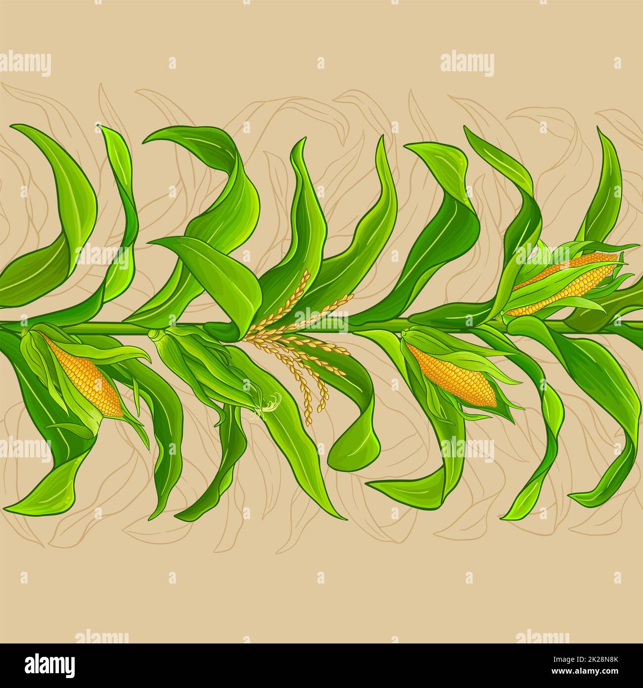 corn plant vector pattern on color background Stock Photo - Alamy