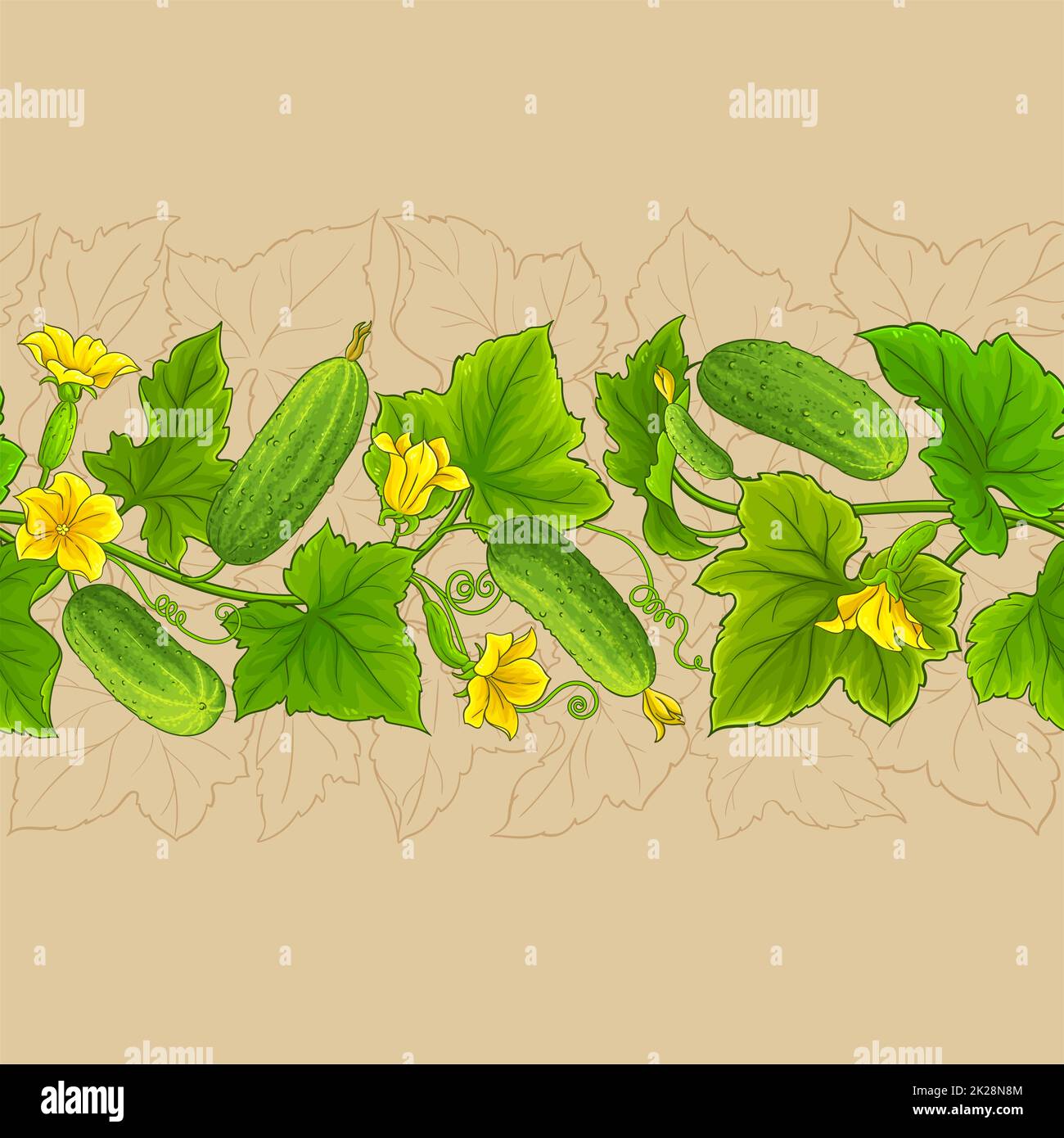 cucumber plant vector pattern on color background Stock Photo - Alamy