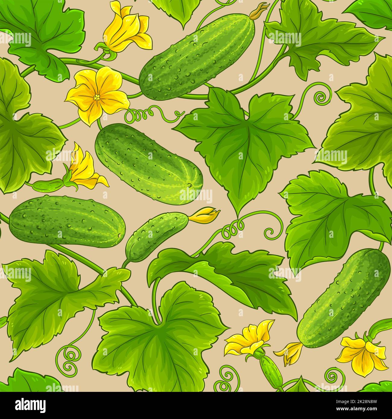 Cucumber seamless pattern hi-res stock photography and images - Alamy