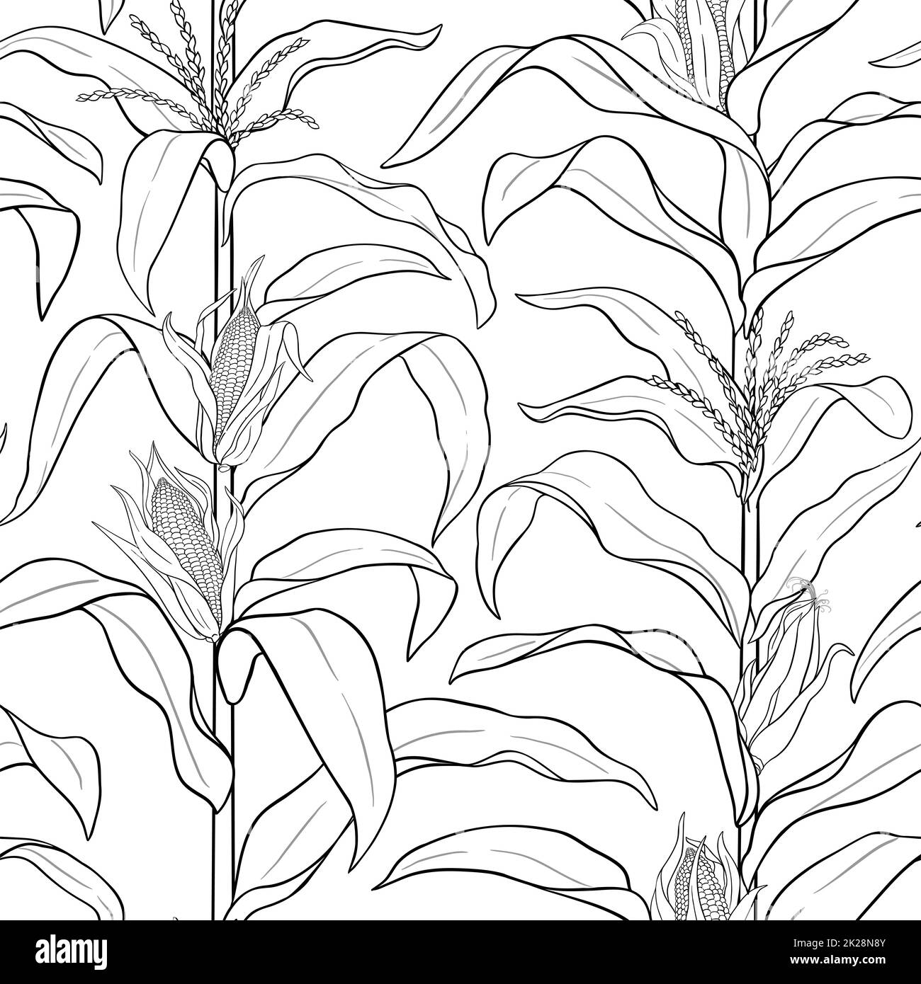 corn plant vector pattern on white background Stock Photo - Alamy