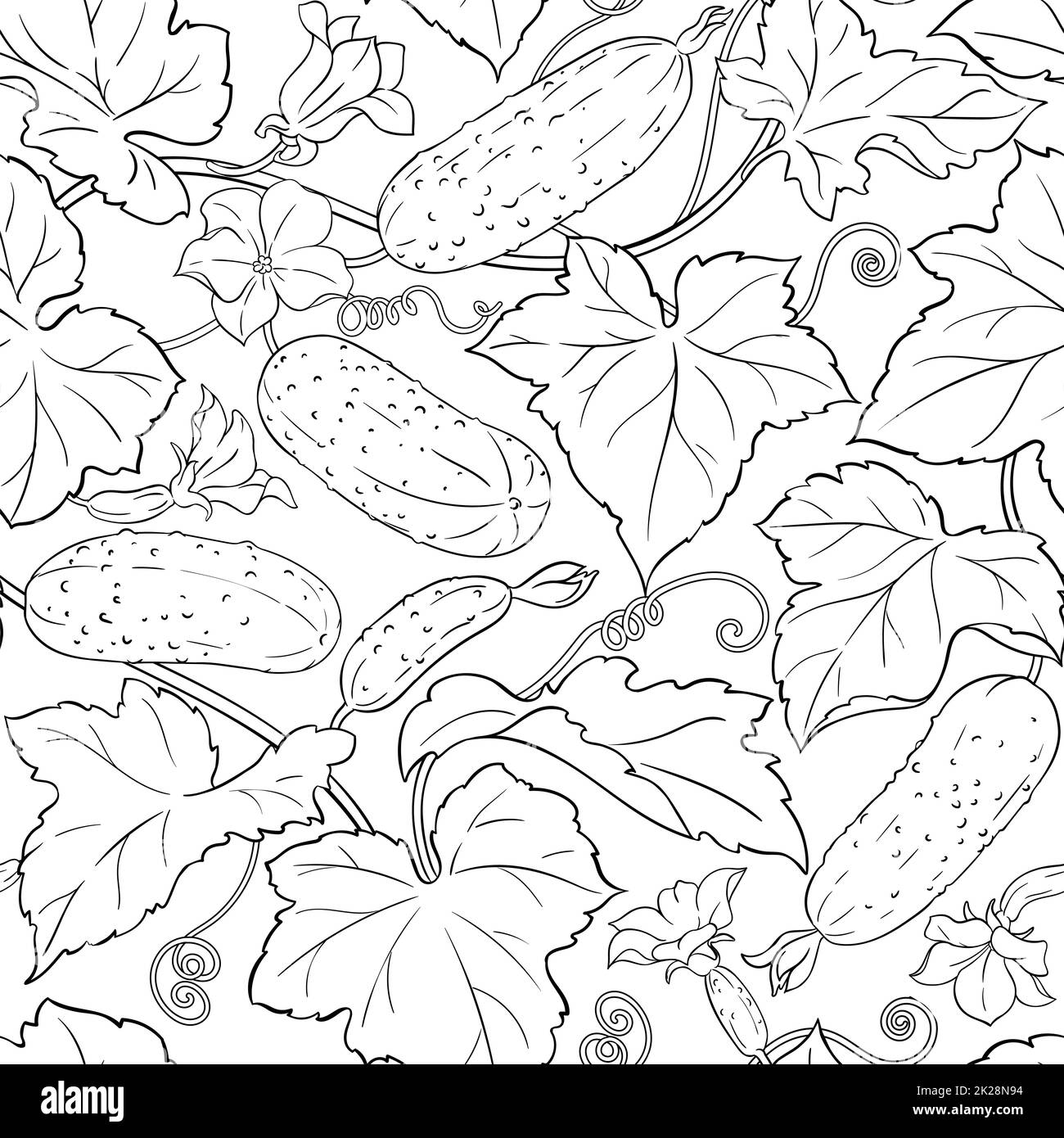 cucumber plant vector pattern on white background Stock Photo - Alamy