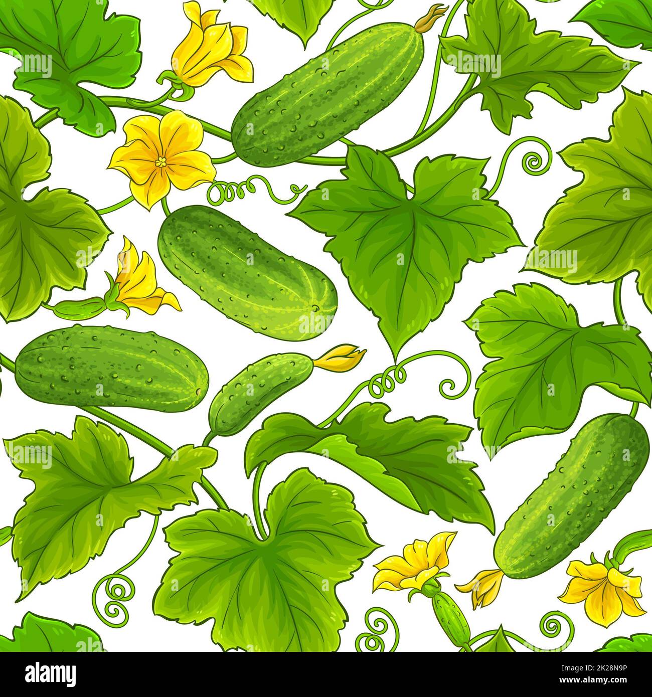 cucumber vector pattern Stock Photo - Alamy