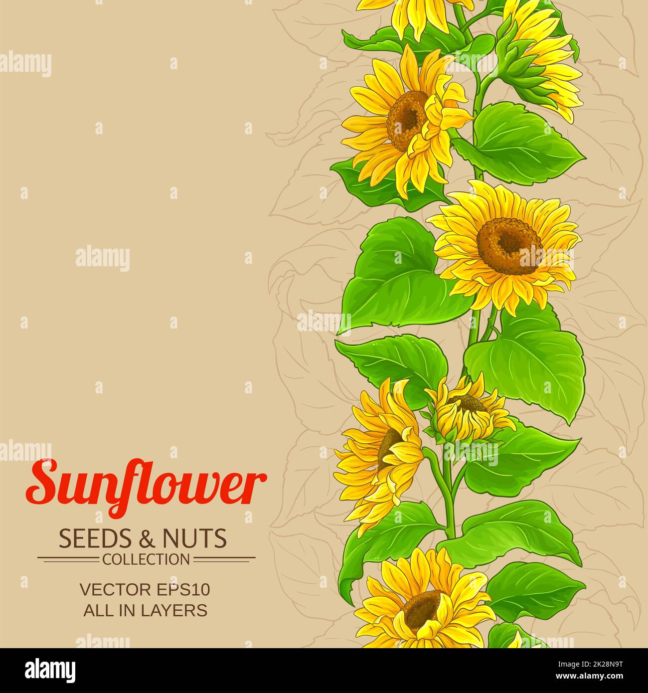 sunflower plant vector pattern on color background Stock Photo - Alamy
