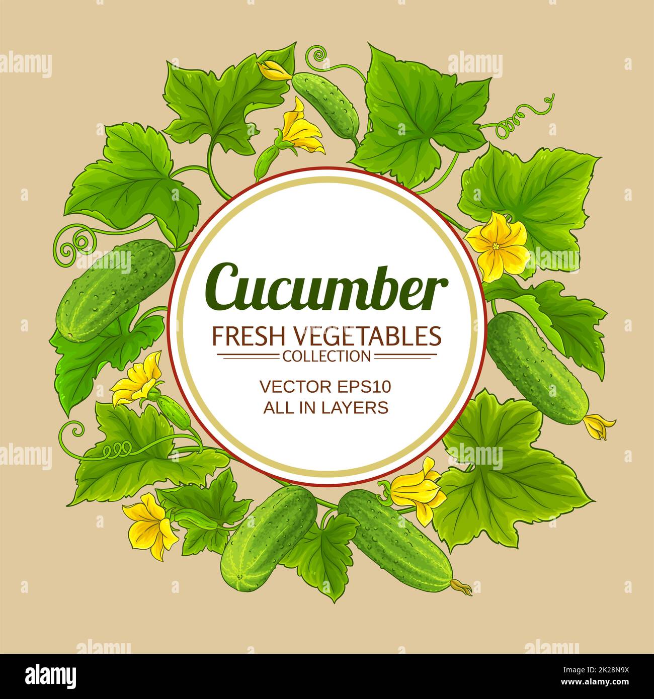 cucumber plant vector frame on color background Stock Photo - Alamy