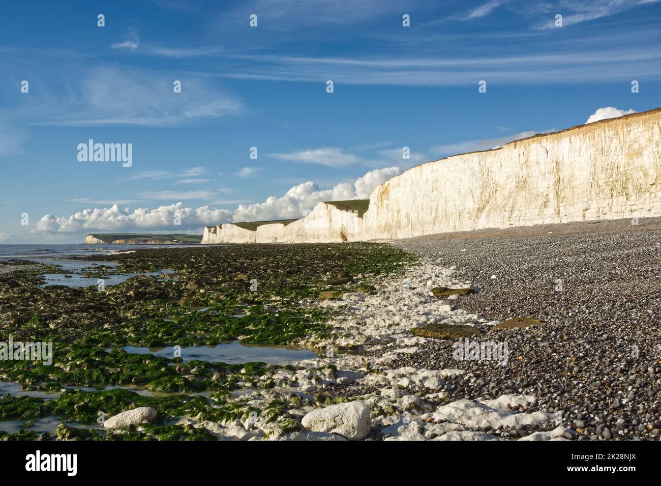 The Seven Sisters chalk cliffs, Sussex, England Stock Photo - Alamy