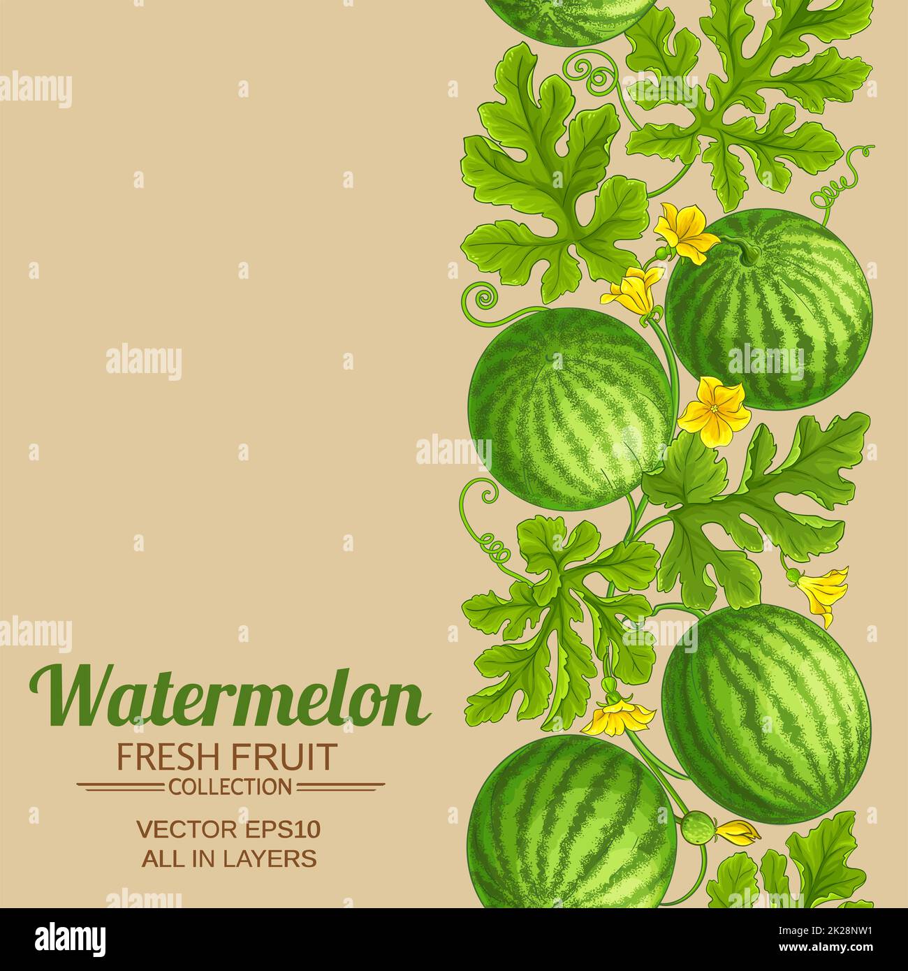 Watermelon sweet vitamin nature outline hi-res stock photography and ...