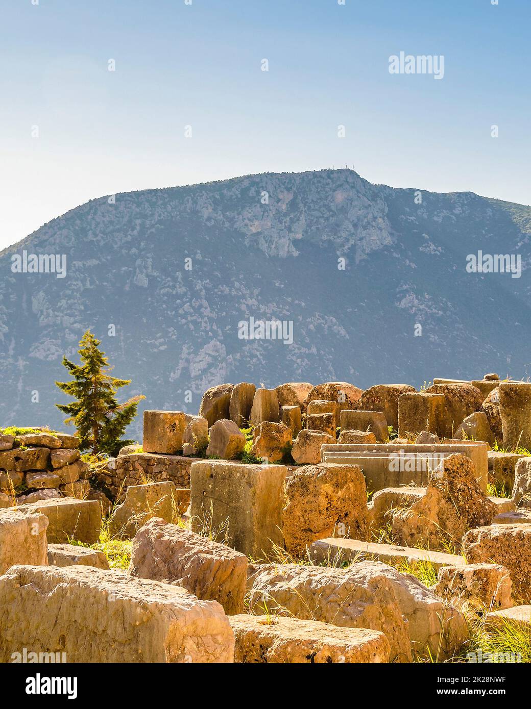 Phocis hi-res stock photography and images - Alamy