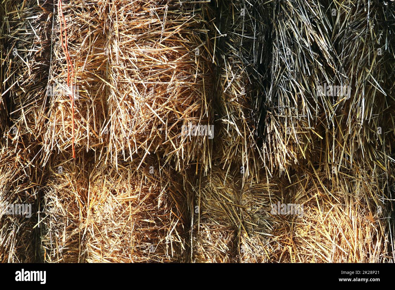 Close up view at the surface of golden straw Stock Photo - Alamy