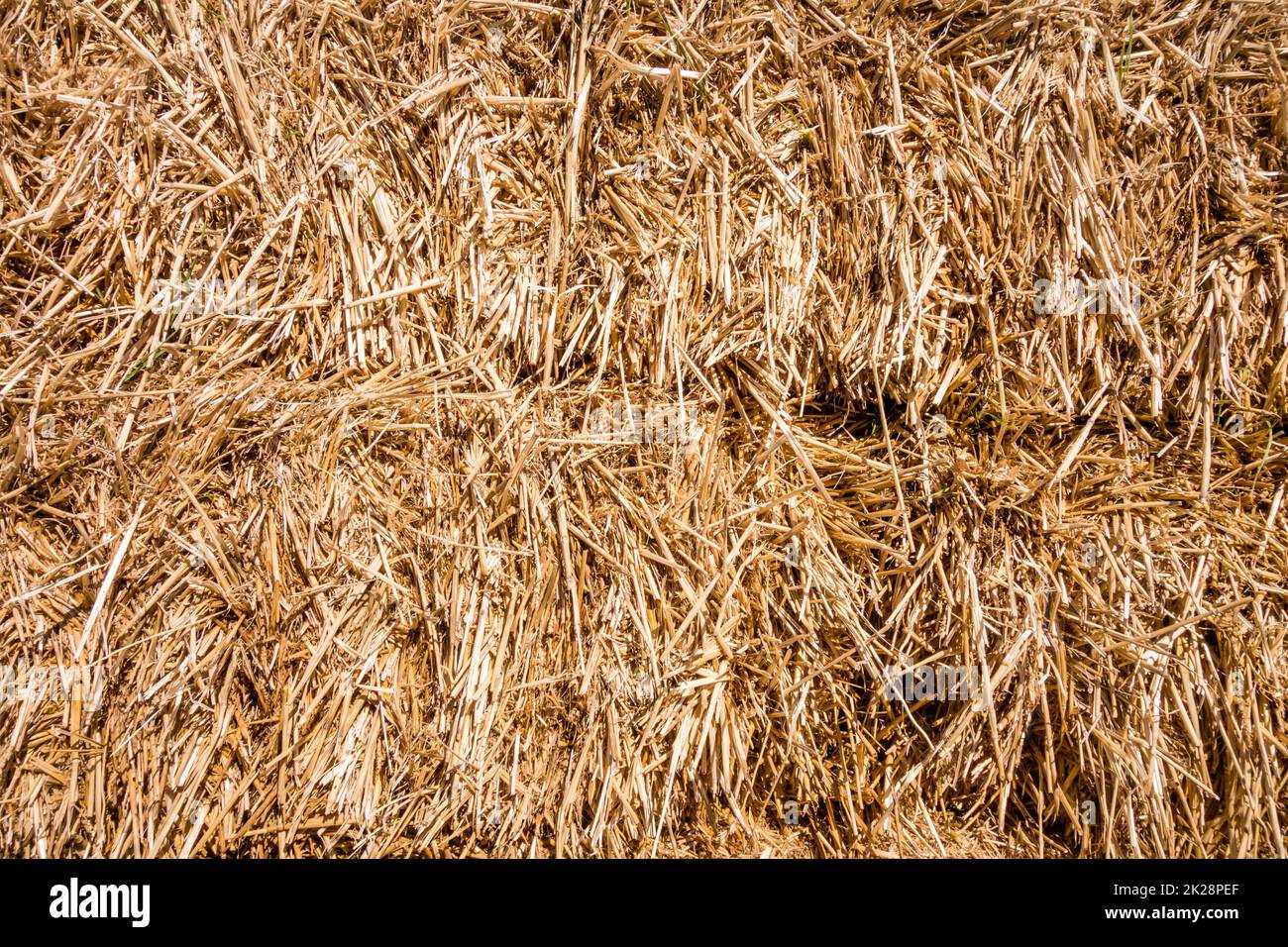 Straw bale texture hi-res stock photography and images - Alamy