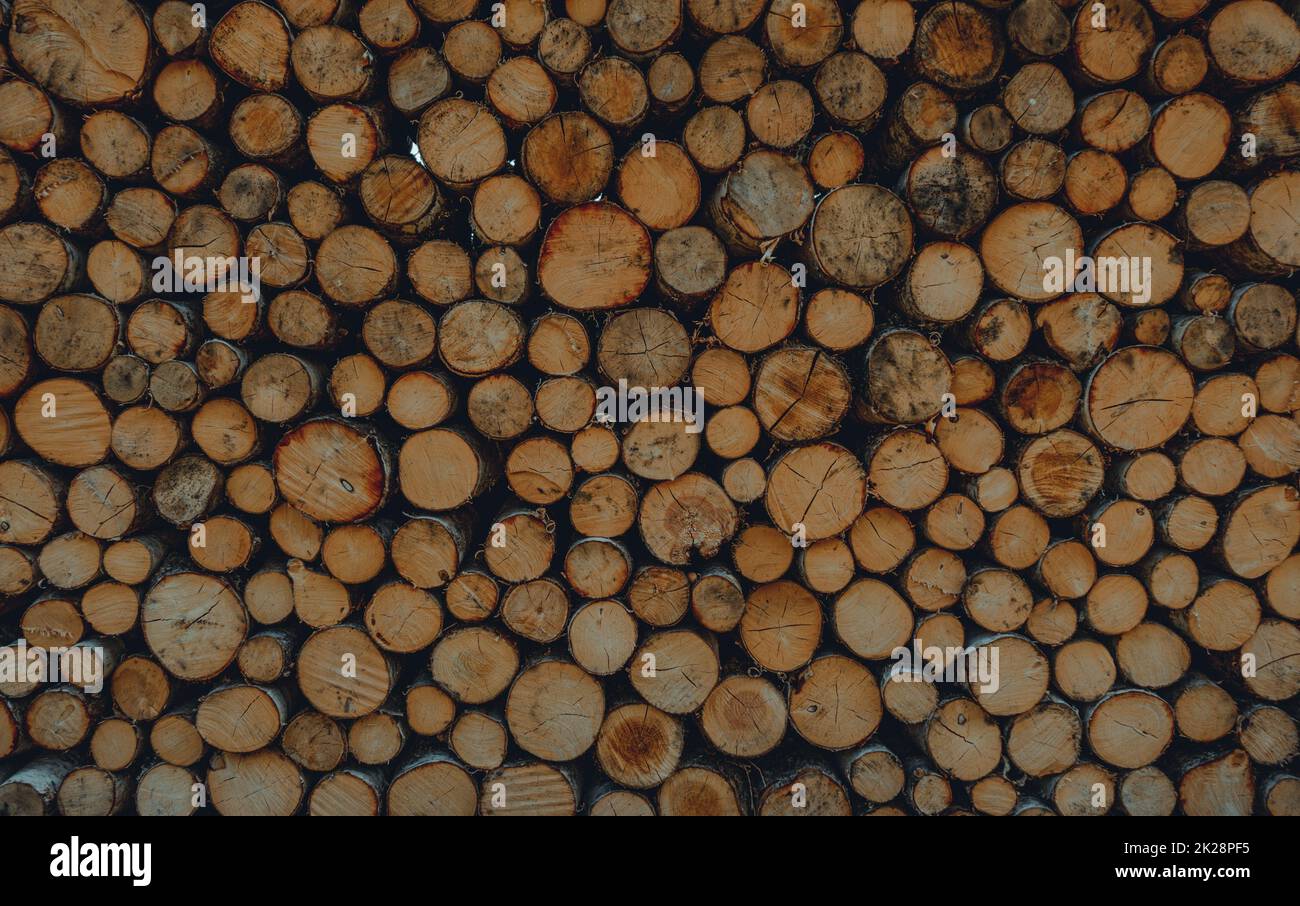 Stack of tree trunks. Texture background Stock Photo - Alamy