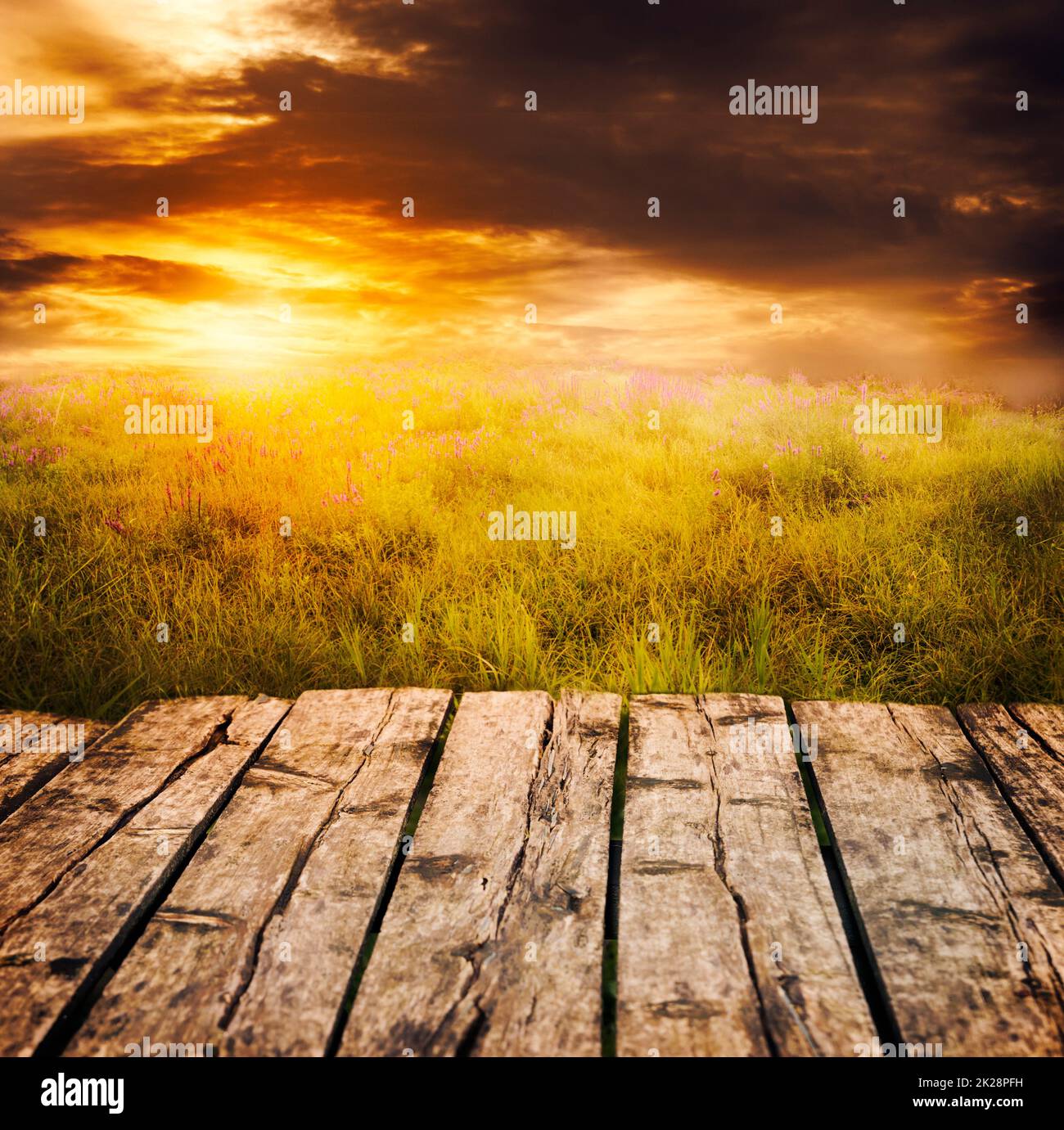 Field table hi-res stock photography and images - Alamy