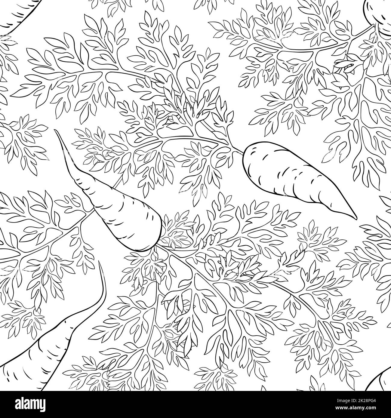 carrot plant vector pattern on white background Stock Photo - Alamy