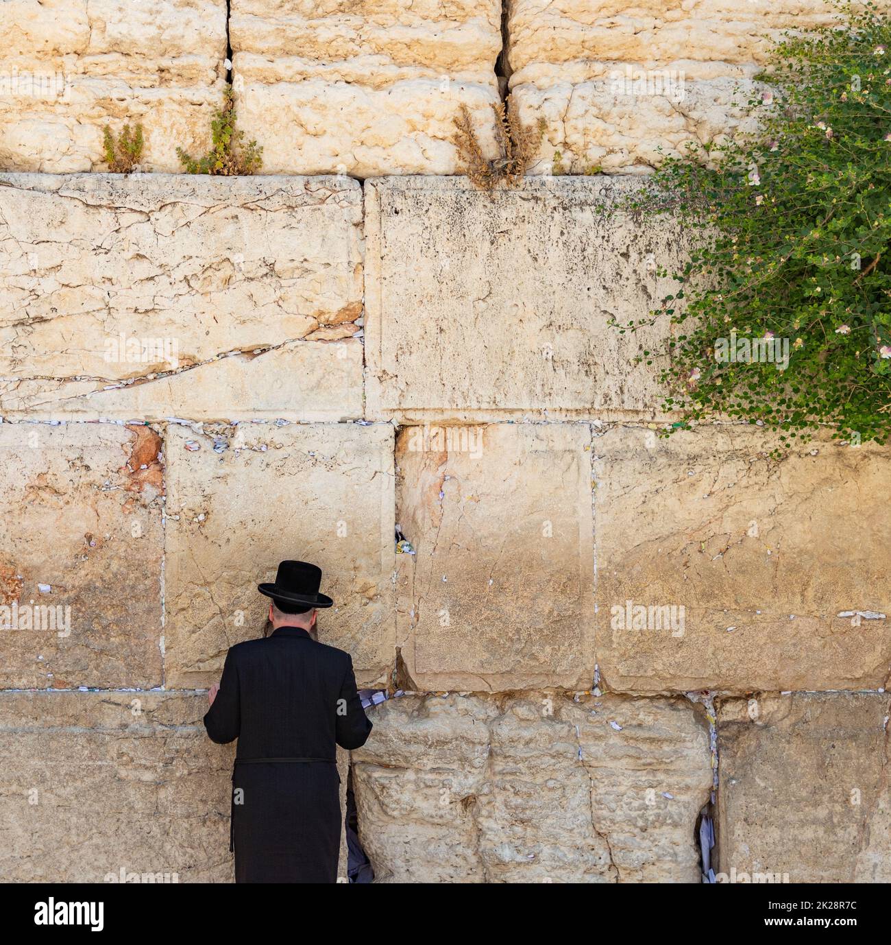 Wailing Wall Jew Praying Stock Photo - Alamy
