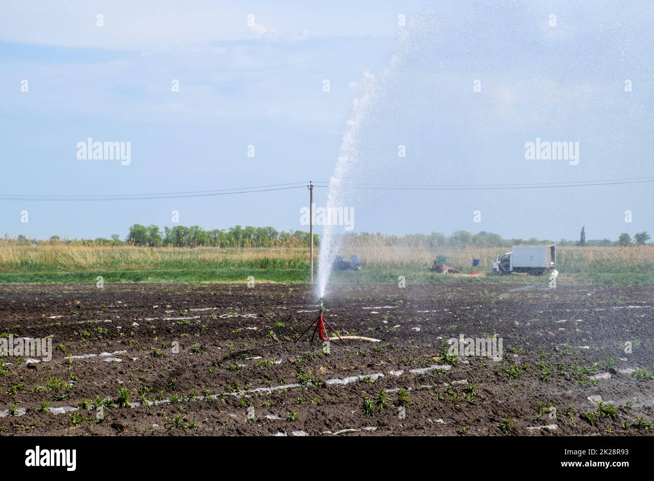 Irrigation system in field of melons. Watering the fields. Sprinkler ...