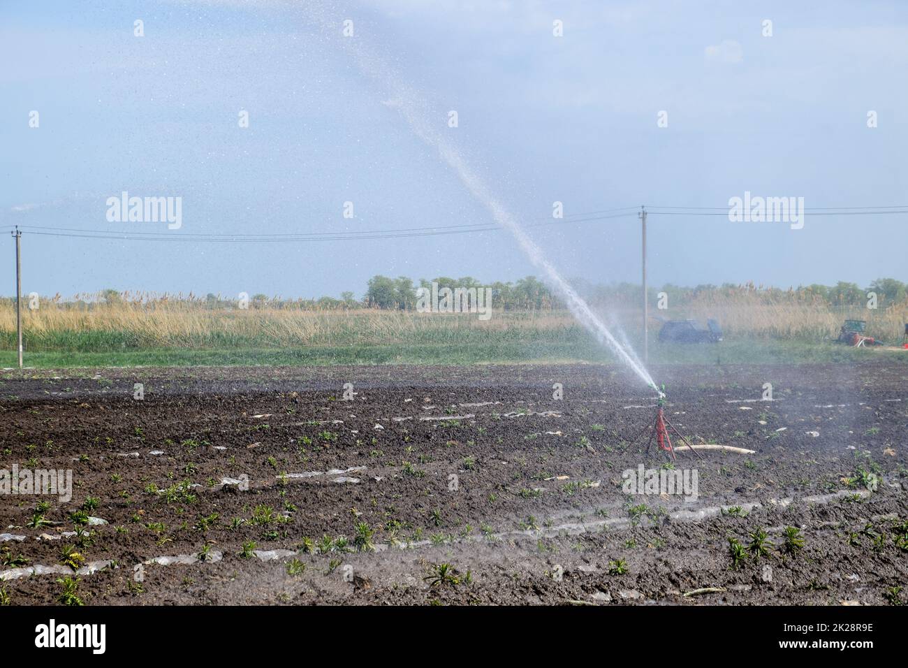 Irrigation system in field of melons. Watering the fields. Sprinkler ...