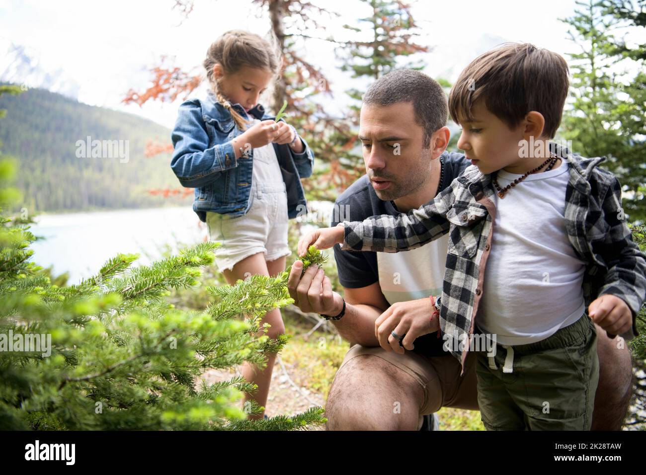 Boy touching tree in forest hi-res stock photography and images - Alamy