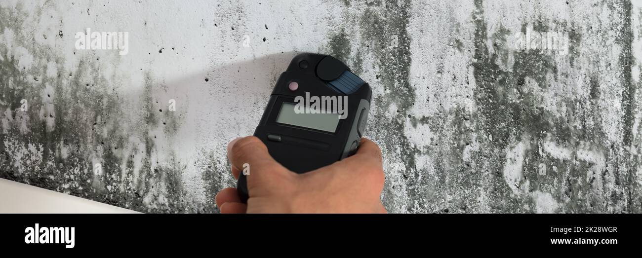 Mold Damage Test In House. Home Wall Stock Photo - Alamy