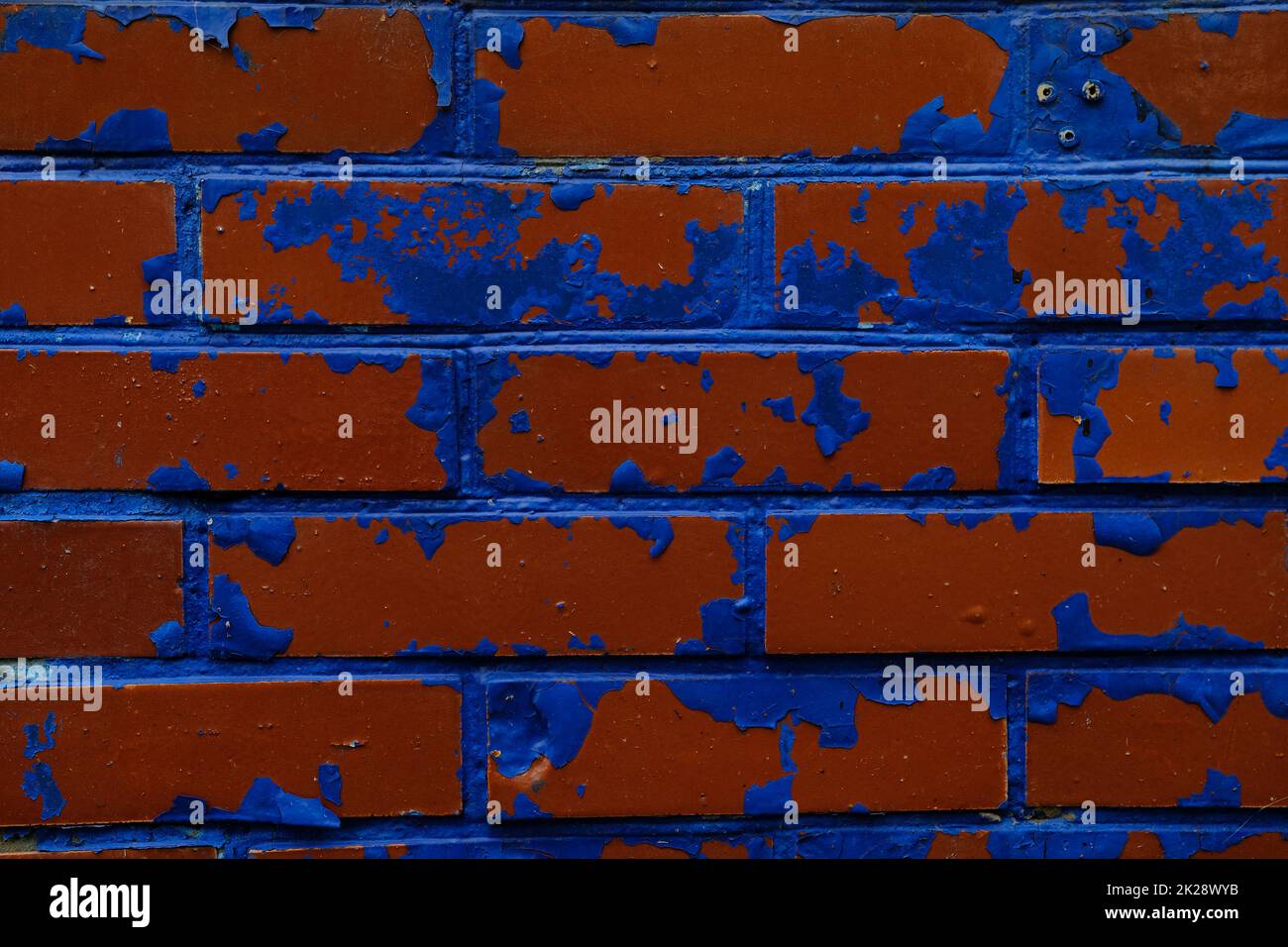 Colorful wall background with damaged paints of blue on red bricks ...